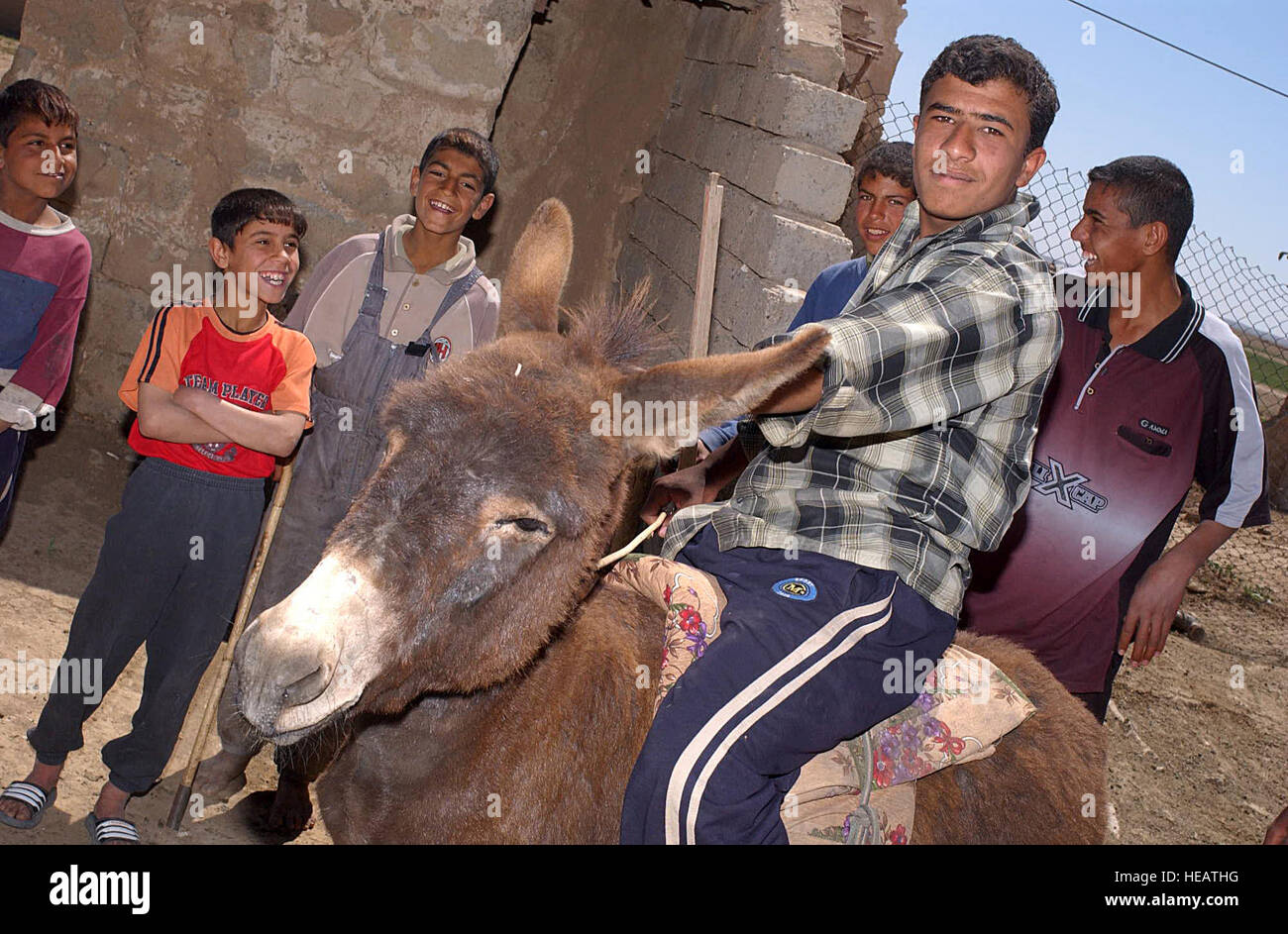 Boys show off their donkey in the Al Jazirah Desert village of ...