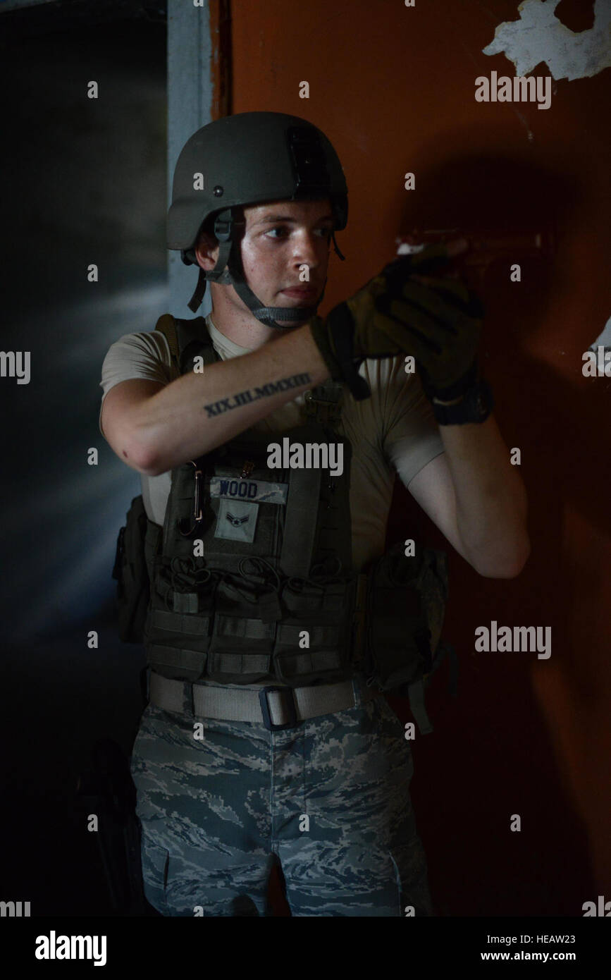 U.S. Air Force Airman 1st Class Alec Wood, 31st Security Forces ...