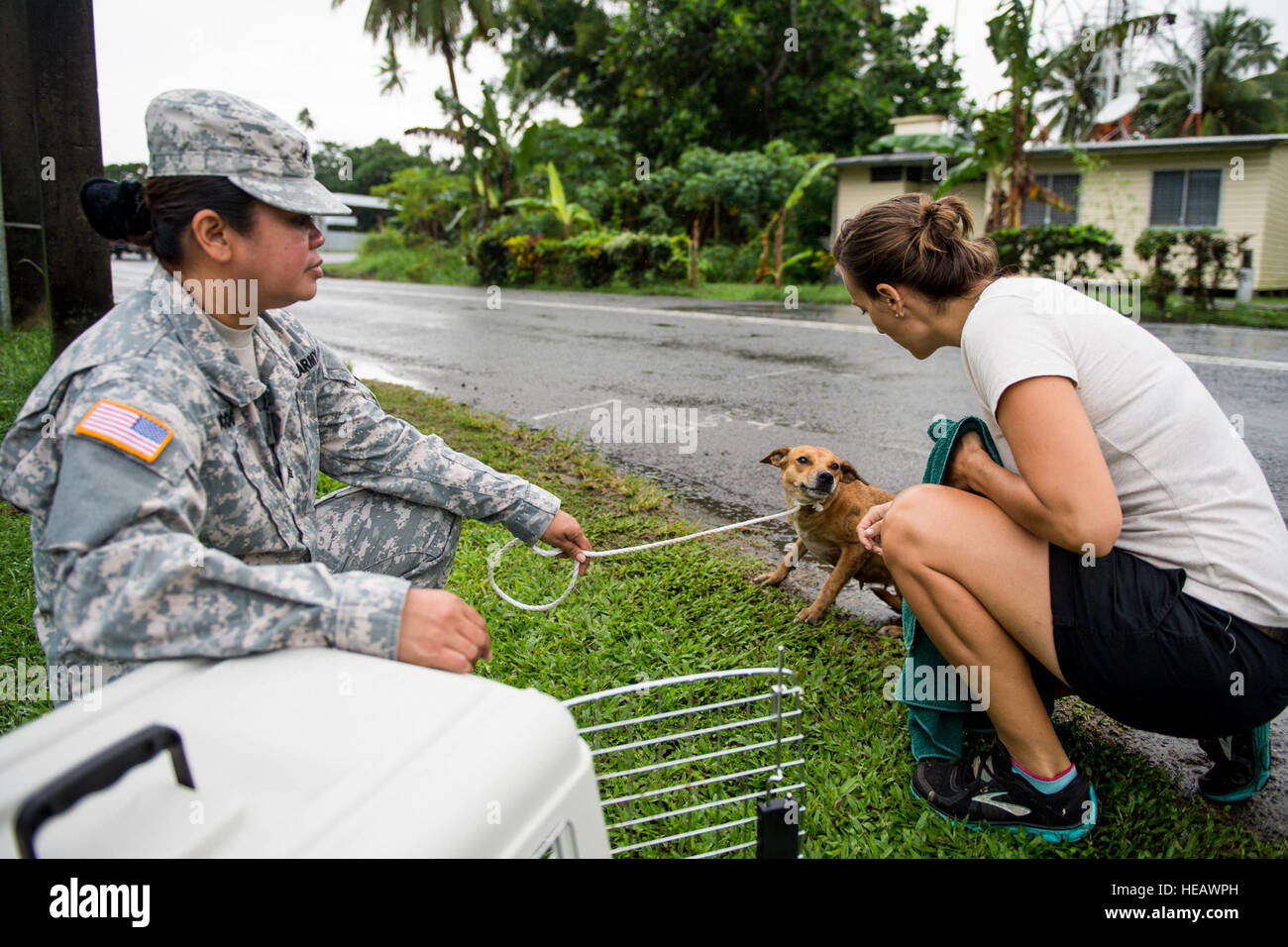 Us army medical and veterinary personnel hi-res stock photography and ...