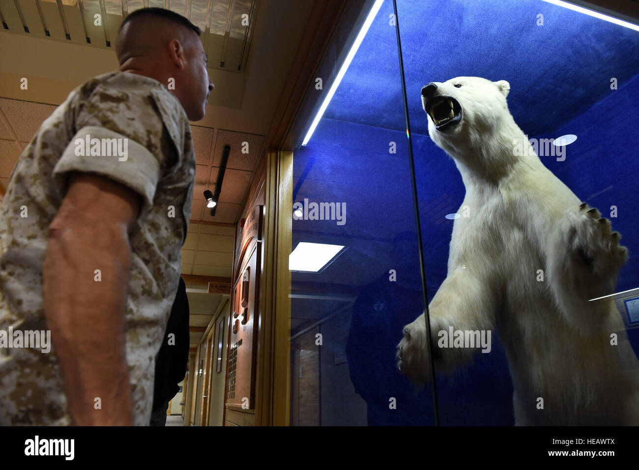 Marine Corps Sgt. Maj. Anthony Spadaro, U.S. Pacific Command senior ...