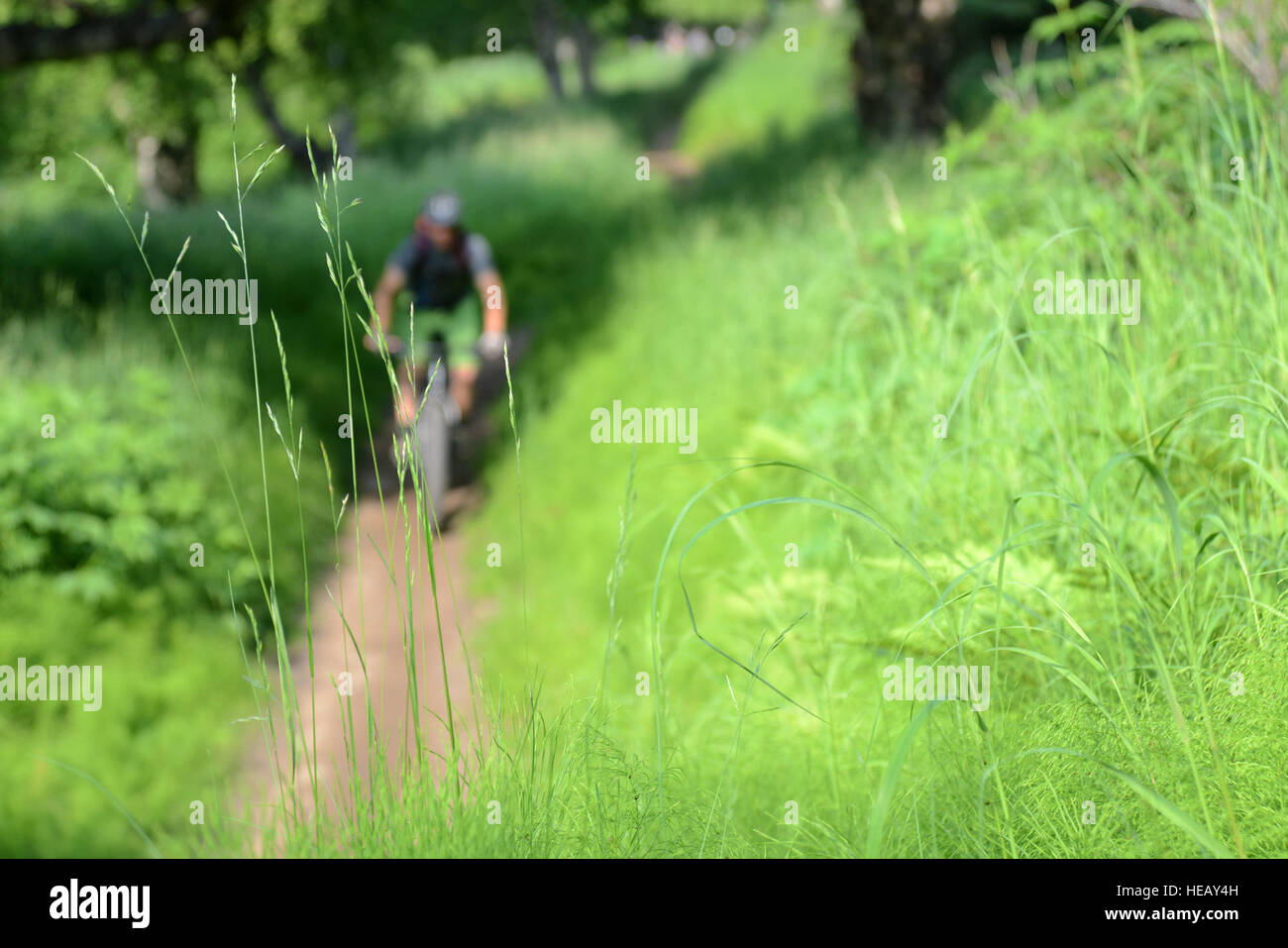 The Joint Base Elmendorf-Richardson Outdoor Recreation Center offers ...