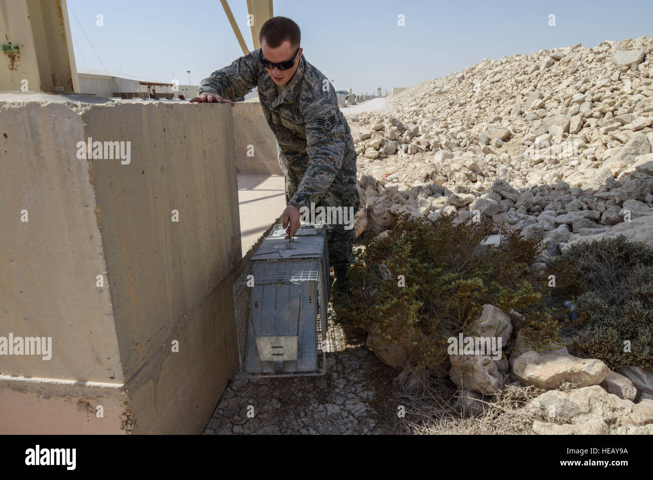 Senior Airman Jordan Hocker prepares a live trap beside a concrete wall ...