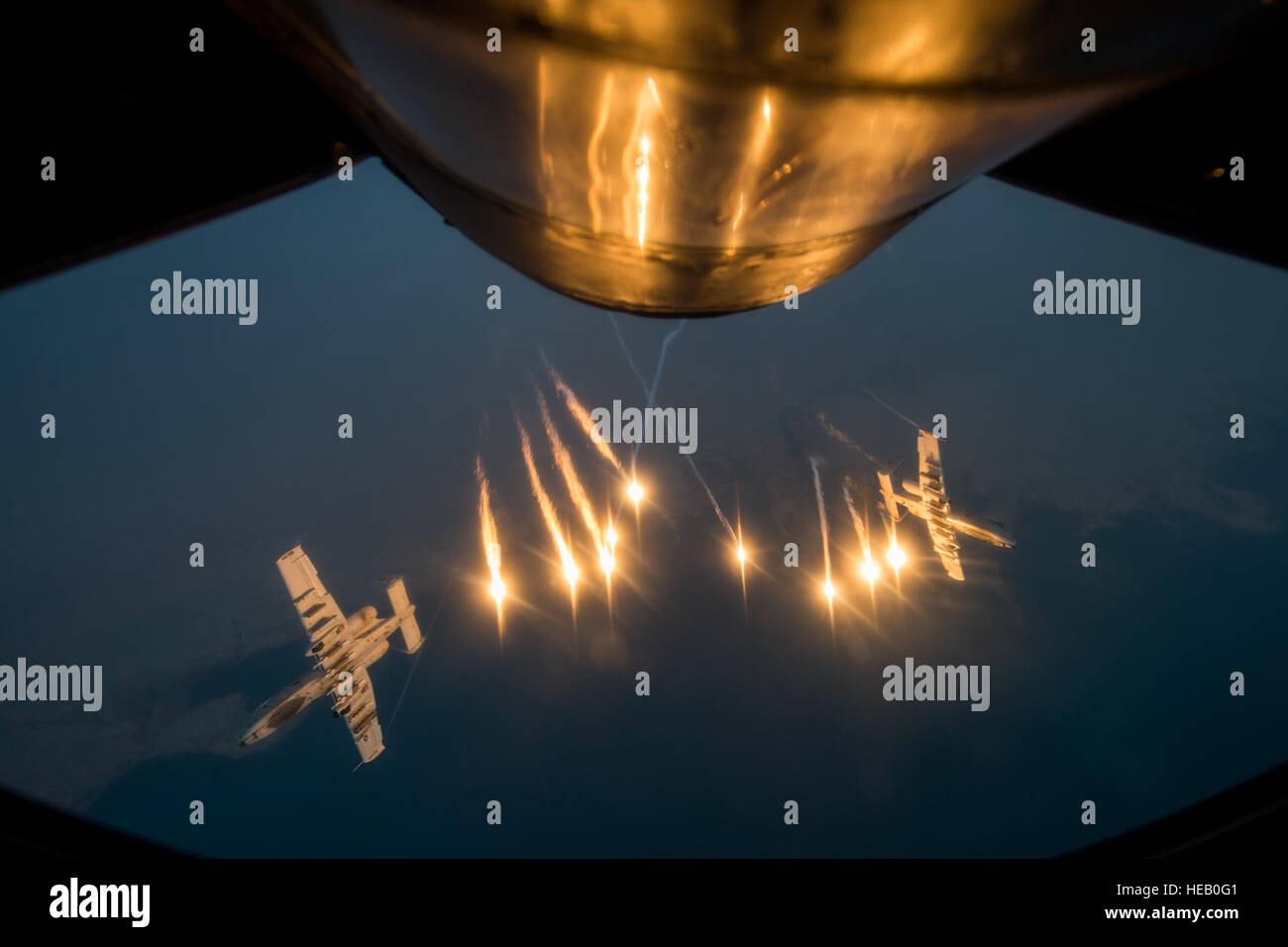 A 10 Warthogs High Resolution Stock Photography and Images - Alamy