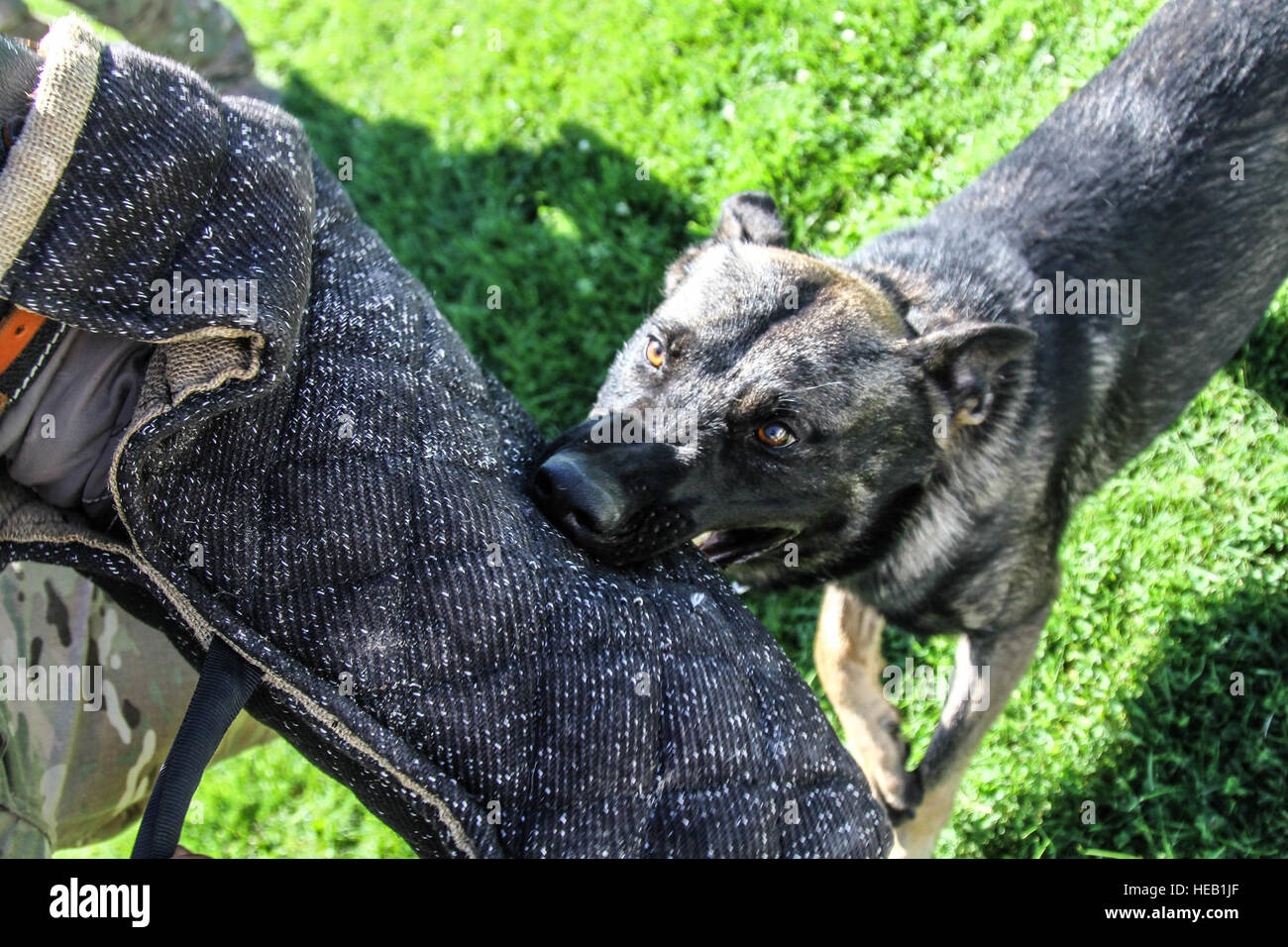 42nd military police brigade hi-res stock photography and images - Alamy