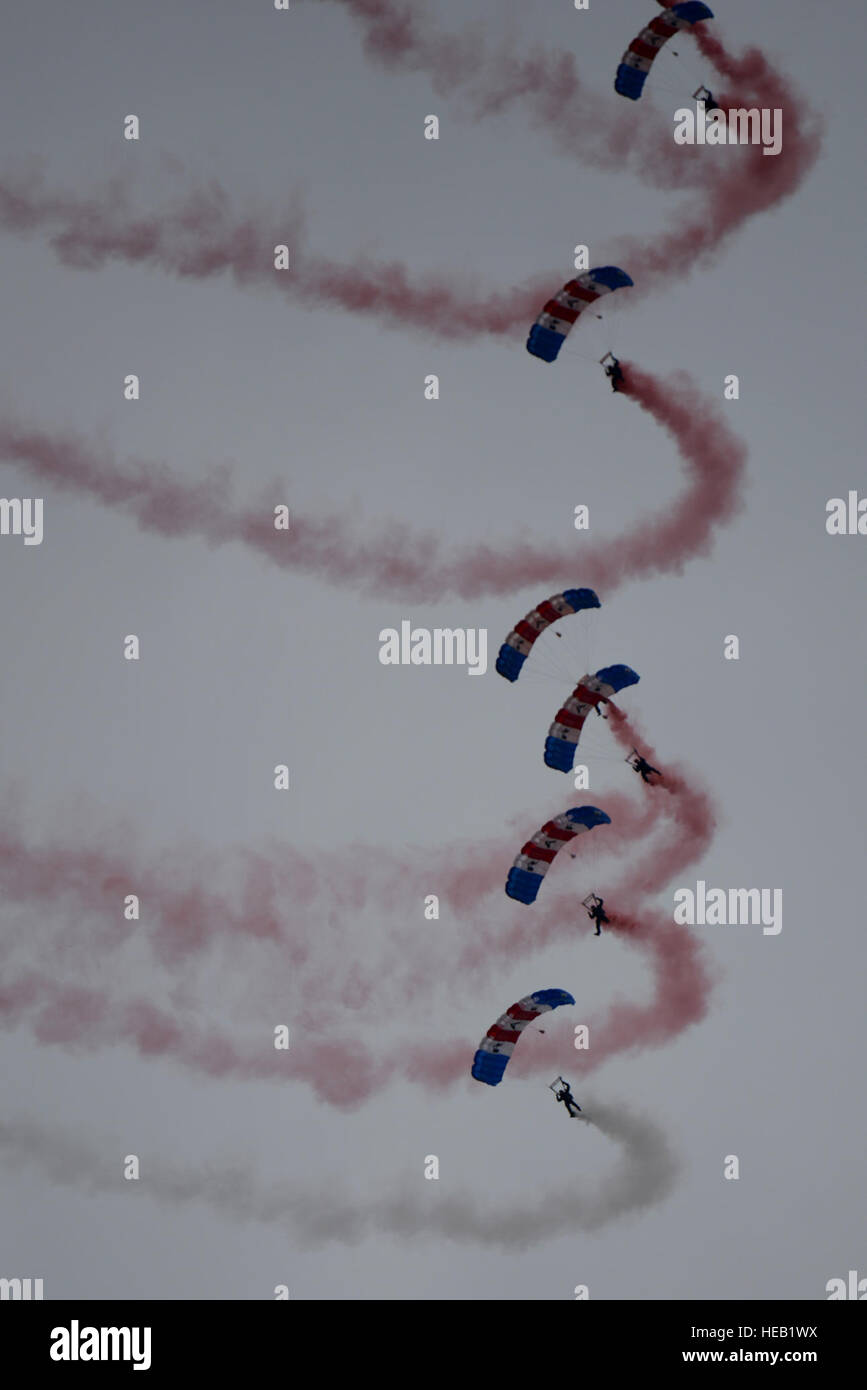 Members of the RAF Falcons, the United Kingdom's premier military ...