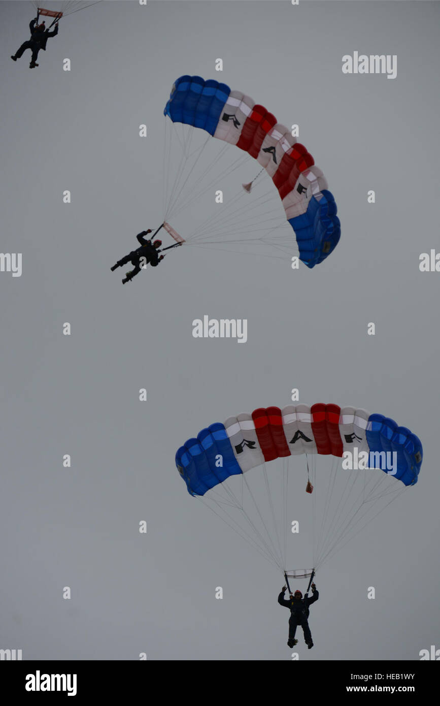 Members of the RAF Falcons, the United Kingdom's premier military ...