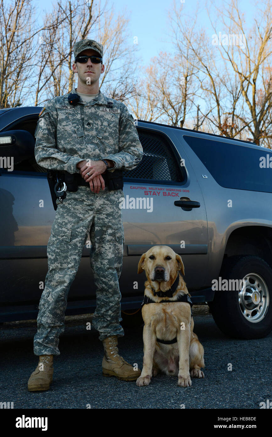 A U.S. Army military working dog handler and an 8-year-old search dog ...