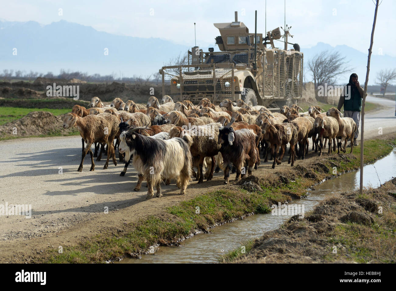 Members of the 755th Expeditionary Security Forces Squadron Reaper Team ...