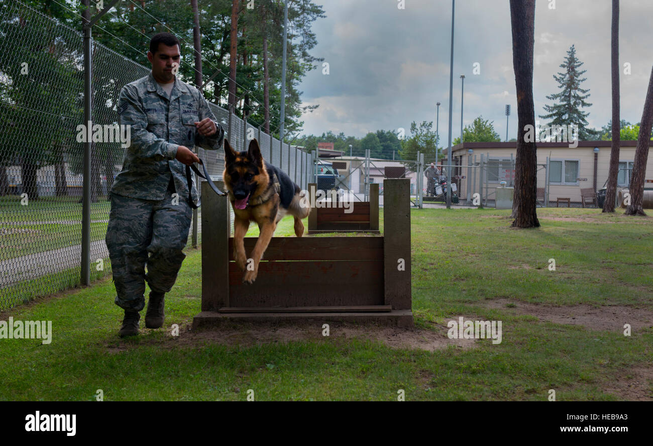 Lackland Afb Dog Training