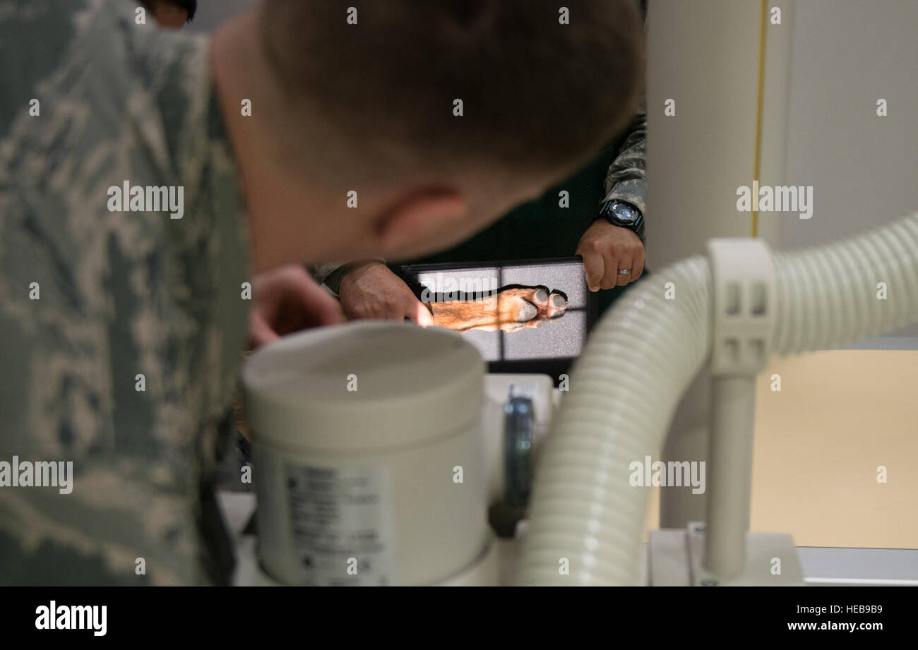 Air Force Staff Sgt. Joseph Evans, 87th Medical Group radiology ...