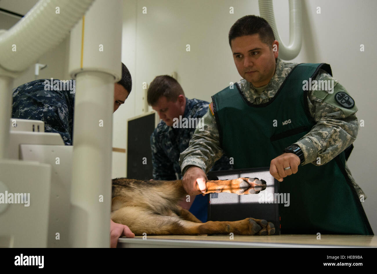Army Staff Sgt. Noel Jaimes, 7236th Medical Support Unit radiology ...
