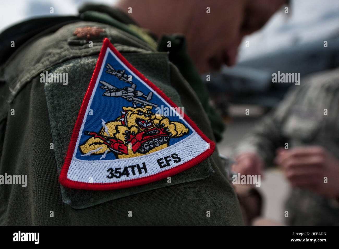 An 354th Expeditionary Fighter Squadron patch is displayed on the ...