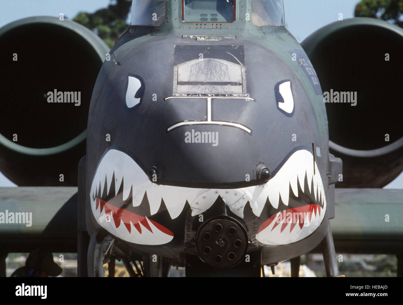 A front view of a 23rd Tactical Fighter Wing A-10 Thunderbolt II ...