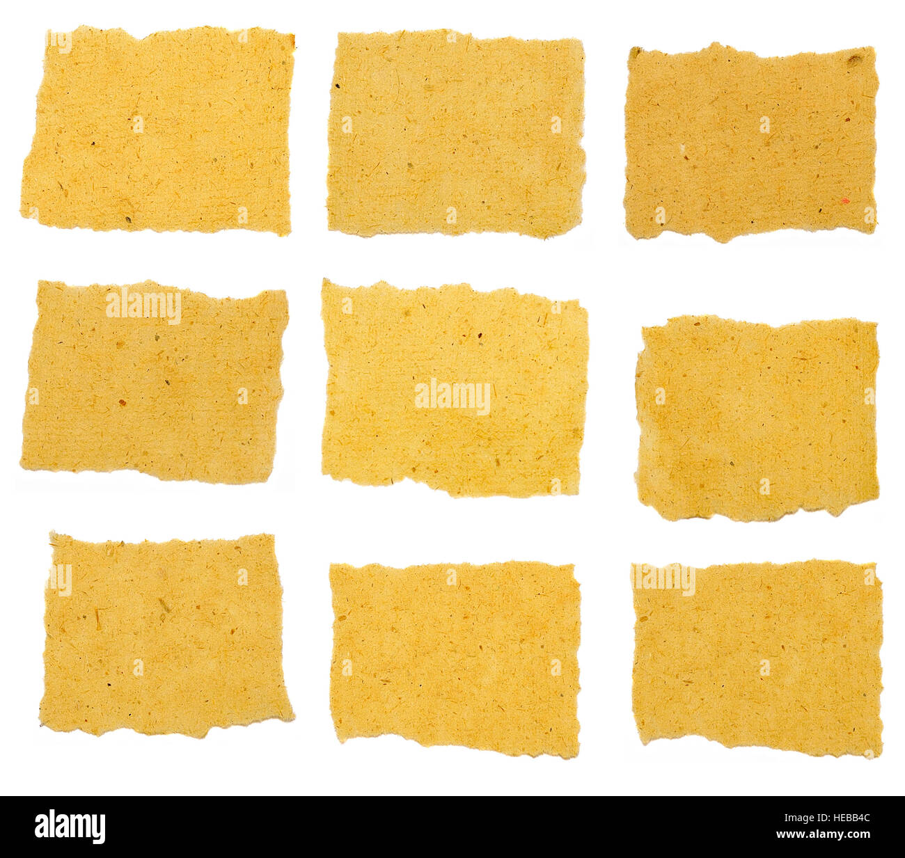 Collection of brown texture paper tears, isolated on white with soft ...