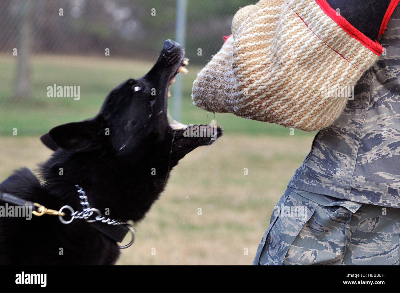 11th wing joint base andrews hi-res stock photography and images - Alamy