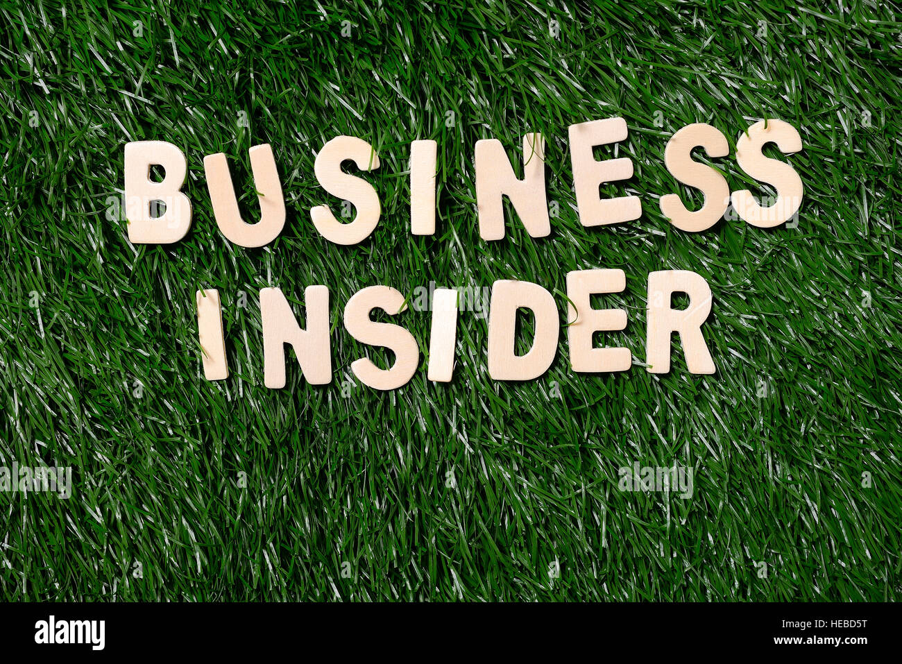 Business insider wooden sign on green grass background Stock Photo - Alamy