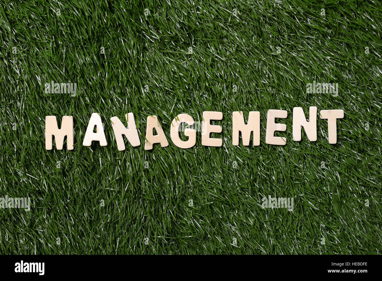 Management wooden sign on green grass background Stock Photo - Alamy