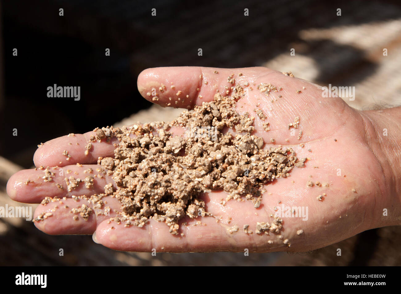 U.S. Army Staff Sgt. Ruben Licon, 257th Engineer Team tower leader ...