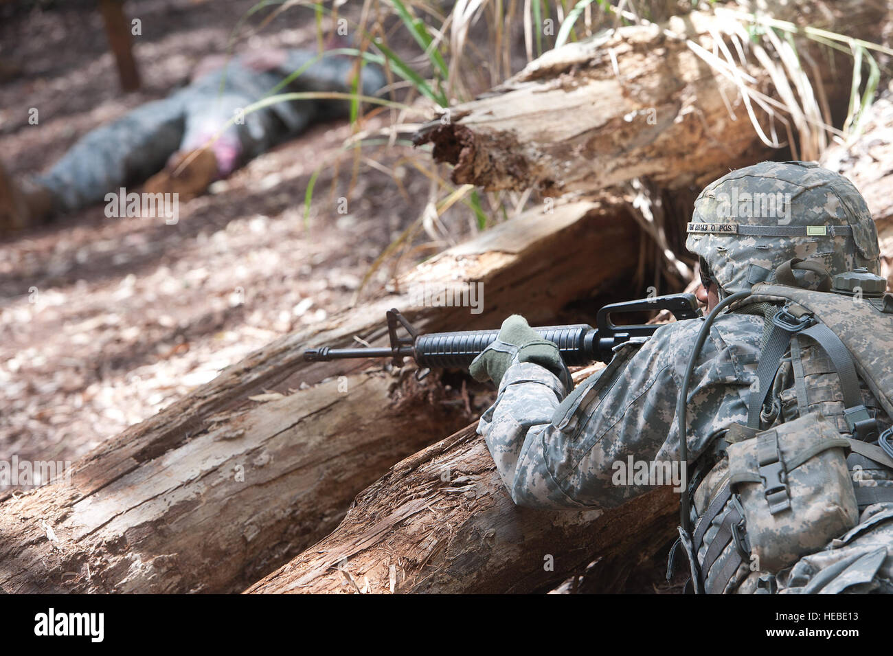 U.S. Army Spc. Gerald Batey, 25th Infantry Division, 185th Military ...