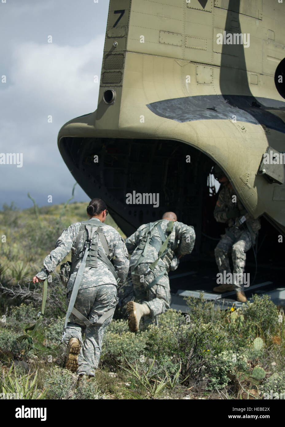 Members from the 1st Battalion, 101st Combat Aviation Brigade, 101st ...