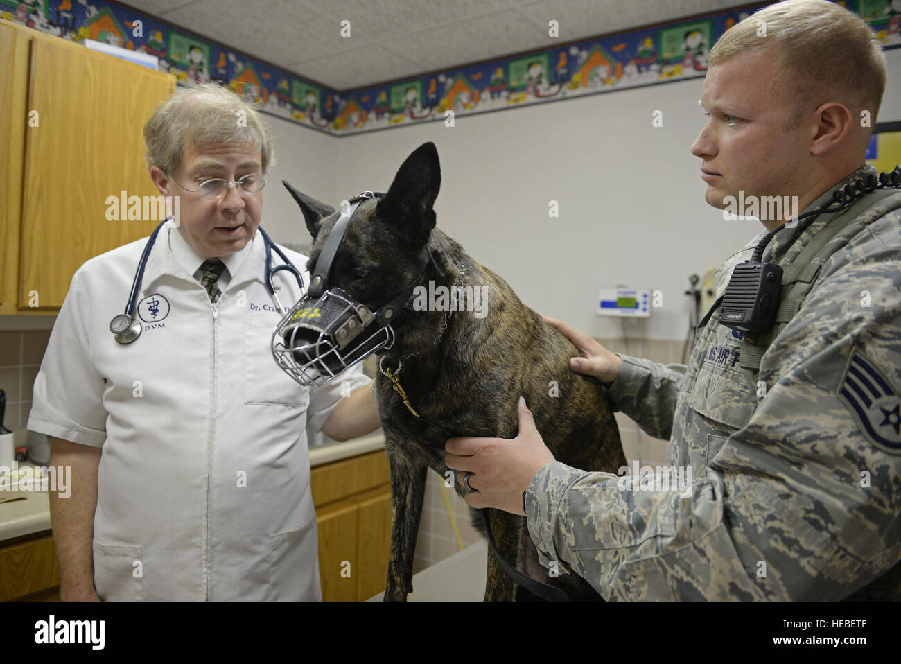 David thacker hi-res stock photography and images - Alamy