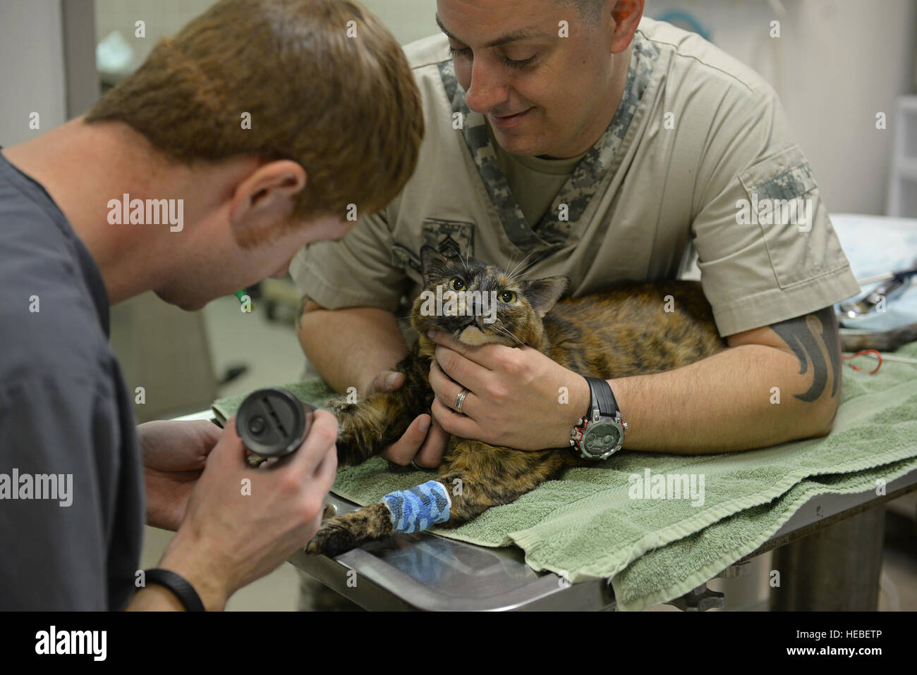 Military veterinary officer hi-res stock photography and images - Alamy