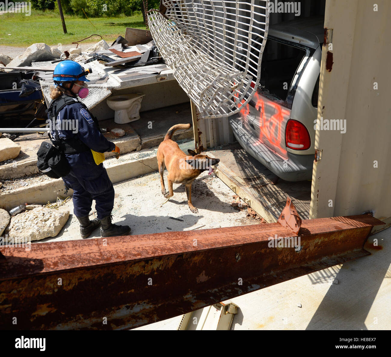 Military dog usa rubble hi-res stock photography and images - Alamy