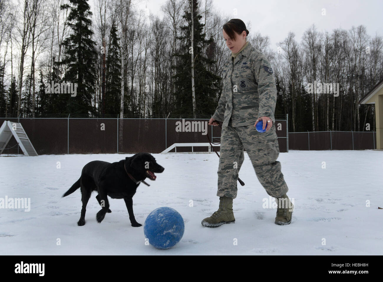 A military working dog handler from the 673d Security Forces Squadron ...