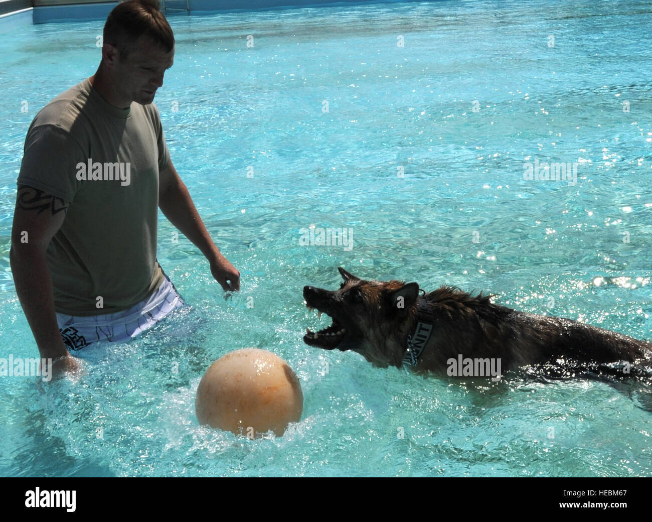 Senior Airman Brian Claypool, 22nd Security Forces Squadron military ...