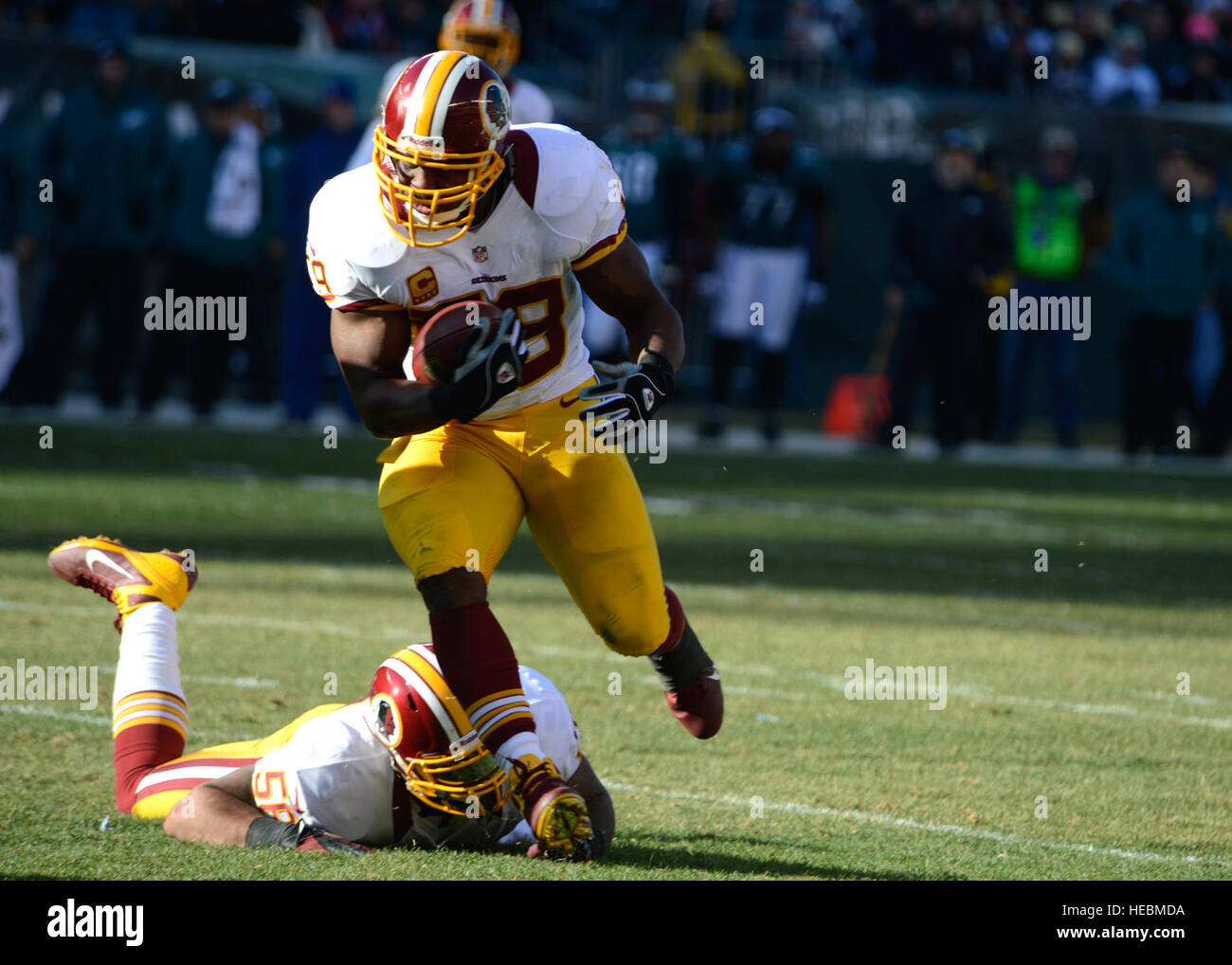 Lincoln field eagles hi-res stock photography and images - Alamy