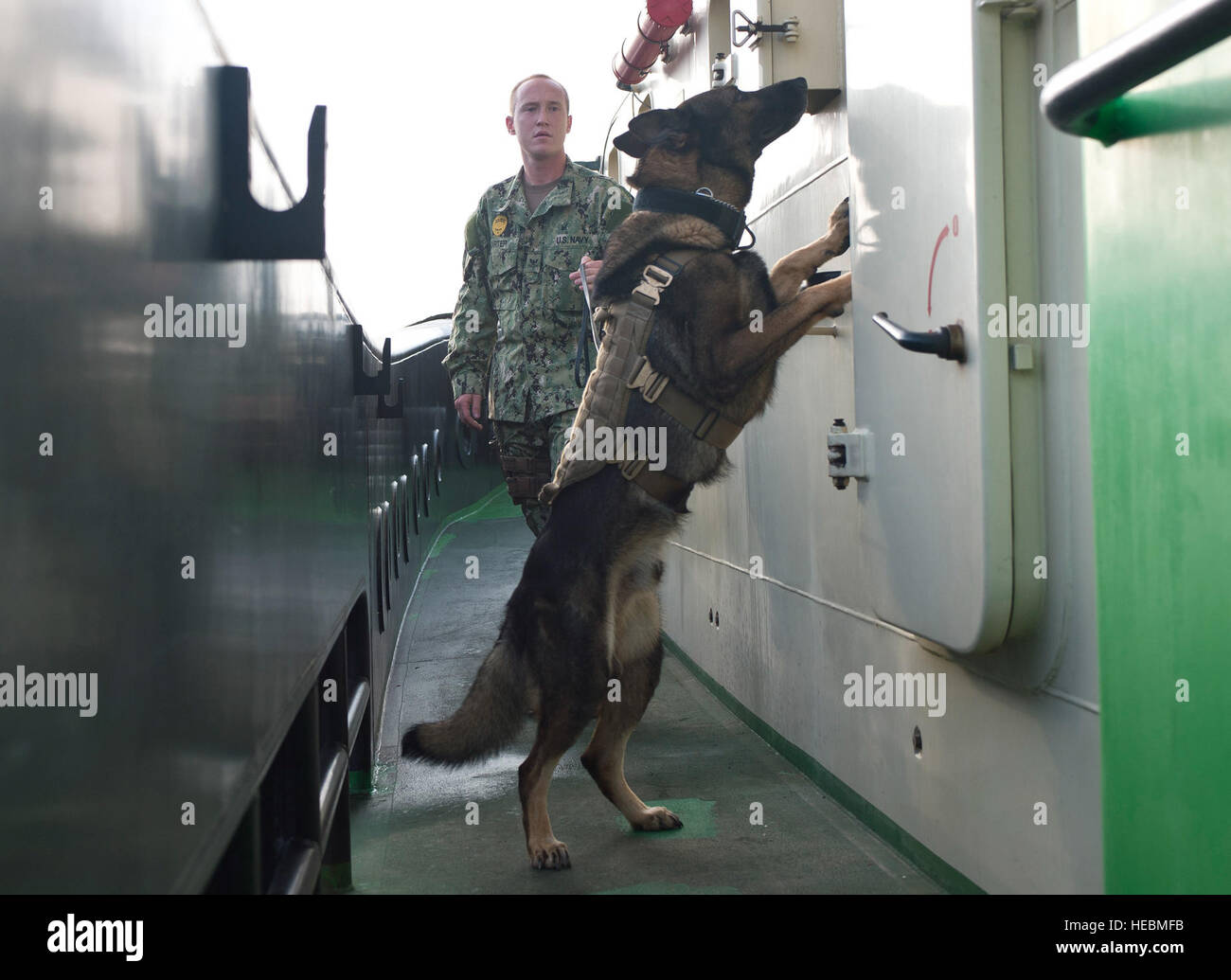 U.S. Navy Petty Officer 2nd Class Michael Carter, a military working ...