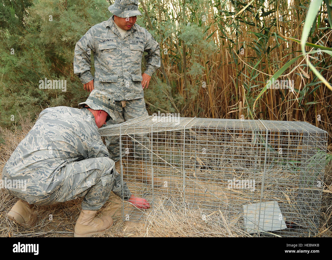 154th civil engineer squadron hi-res stock photography and images - Alamy