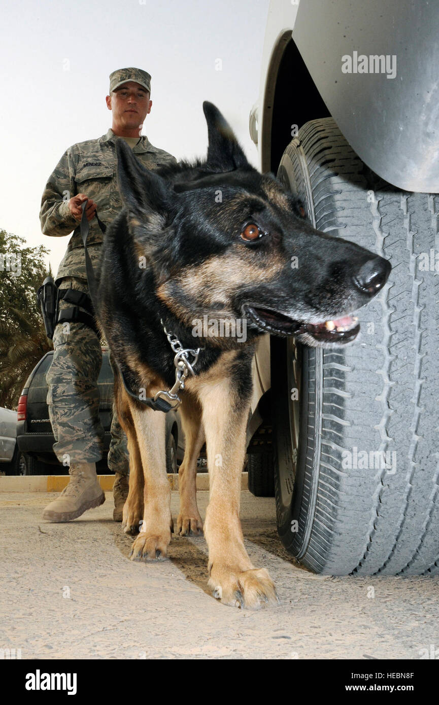 BAGHDAD, Iraq --Air Force Tech. Sgt. Eric Mendez, military working dog ...