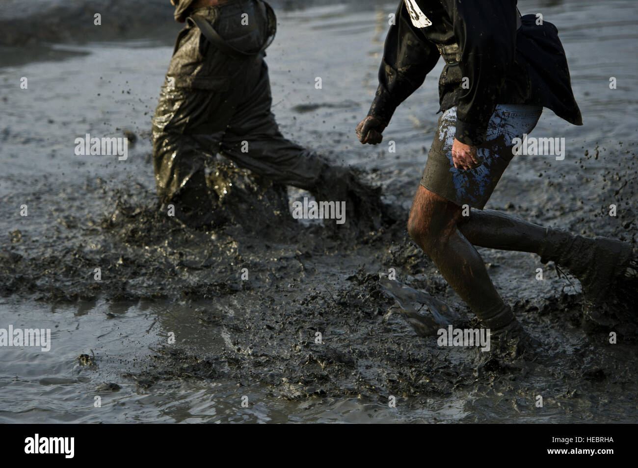 Swamp romp hi-res stock photography and images - Alamy
