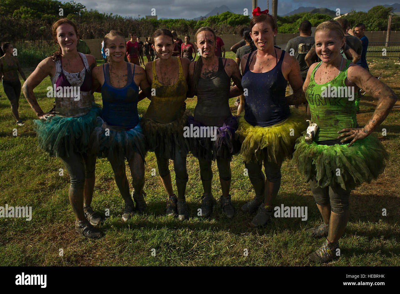 Swamp romp hi-res stock photography and images - Alamy