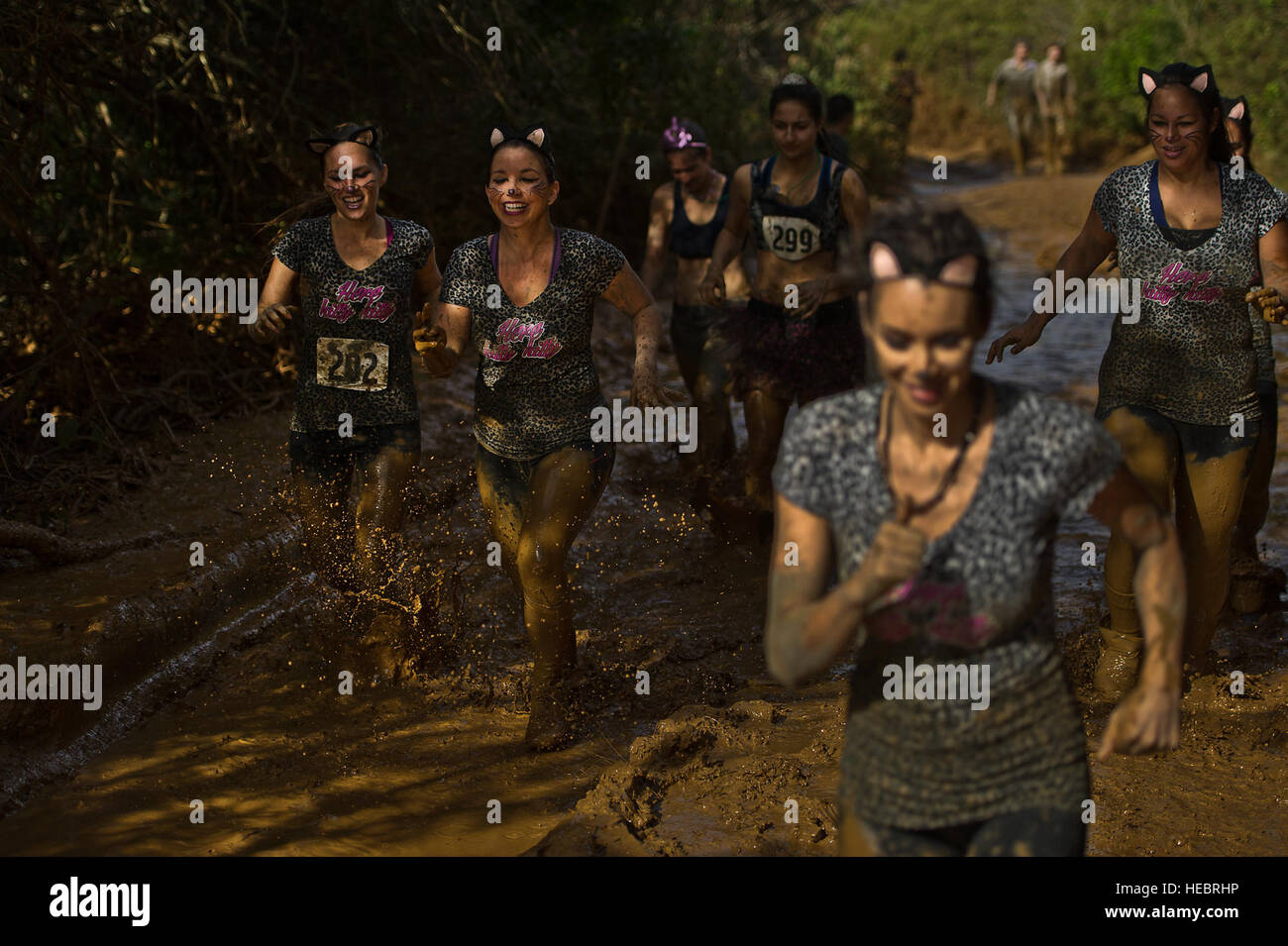 Swamp Romp High Resolution Stock Photography and Images - Alamy