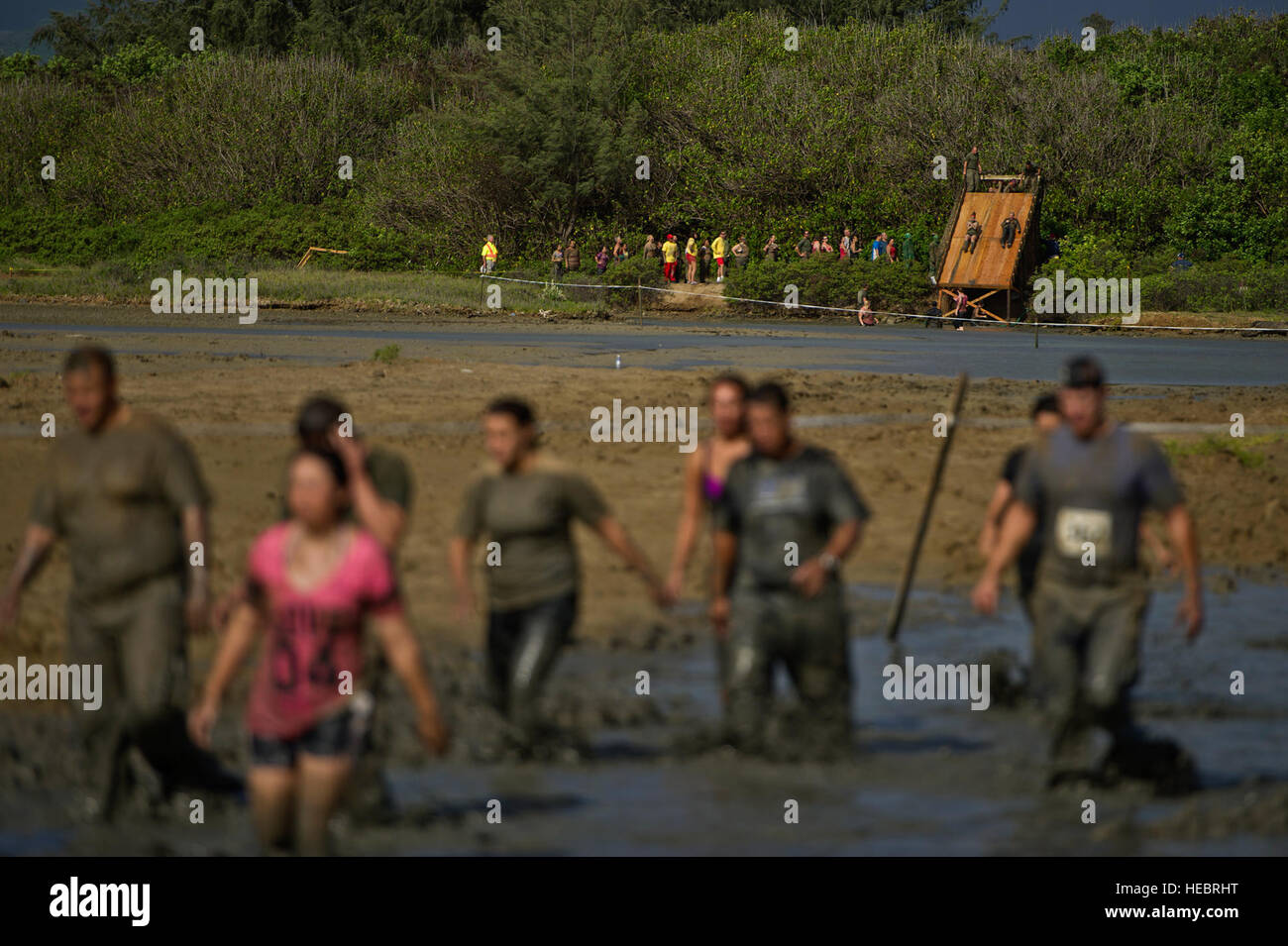 Swamp Romp High Resolution Stock Photography and Images - Alamy