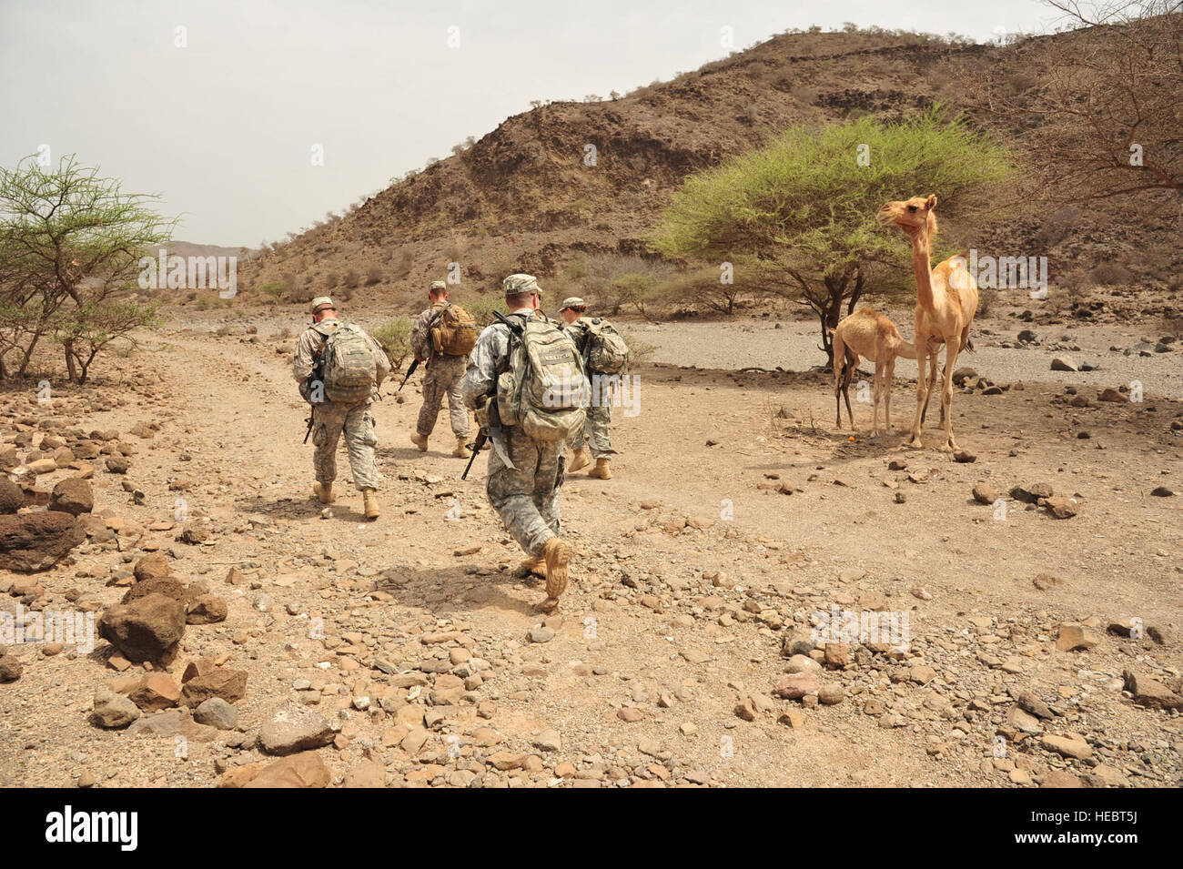 U.S. Army soldiers from Task Force Raptor, 3rd Squadron, 124th Cavalry ...
