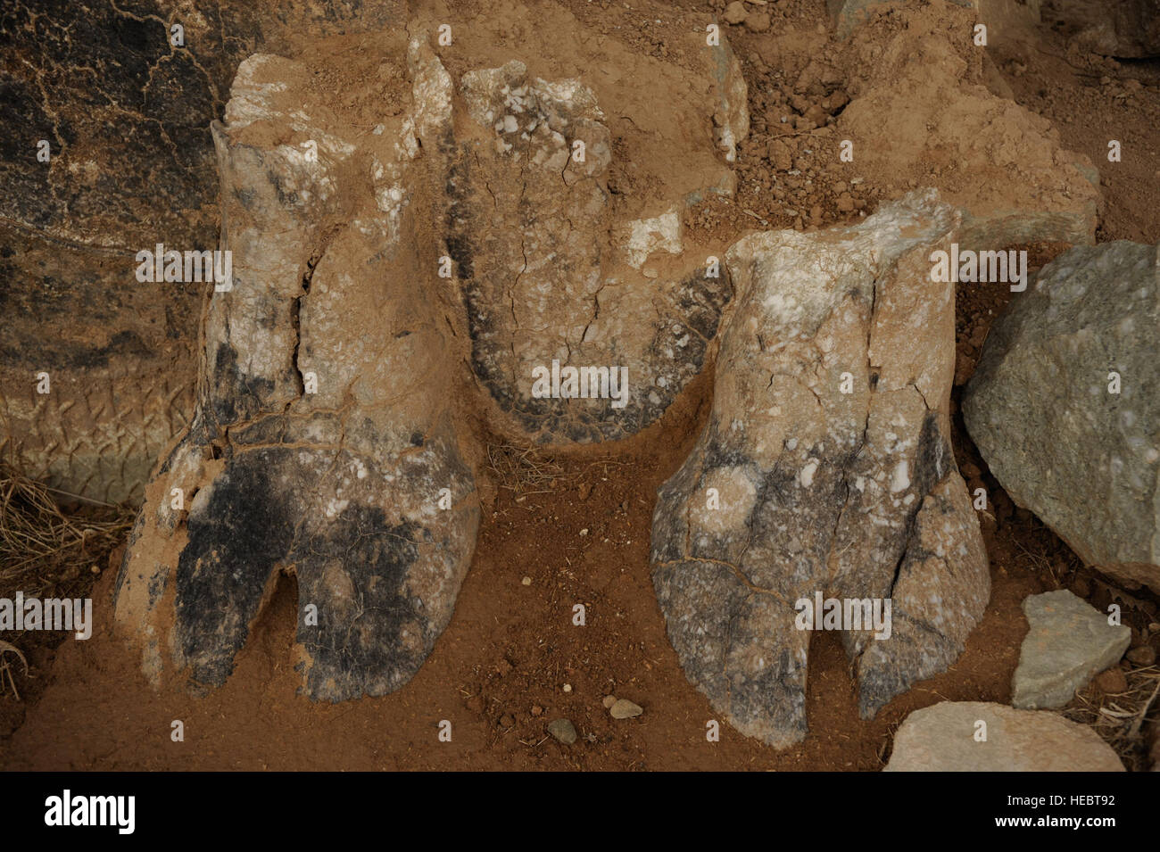 The remains of a portal guardian of a palace in Nineveh, Iraq, Nov. 22 ...