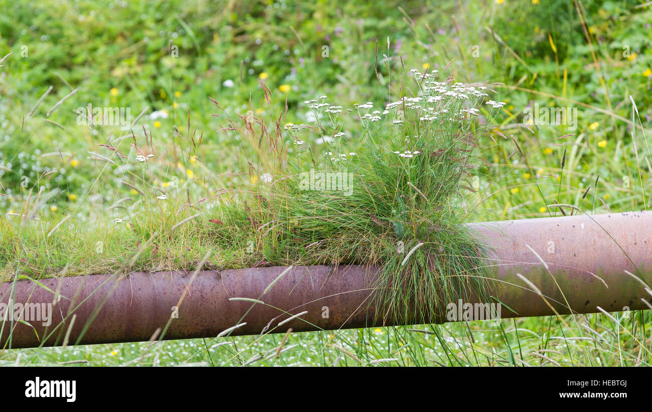 Old water pipe filled hi-res stock photography and images - Alamy