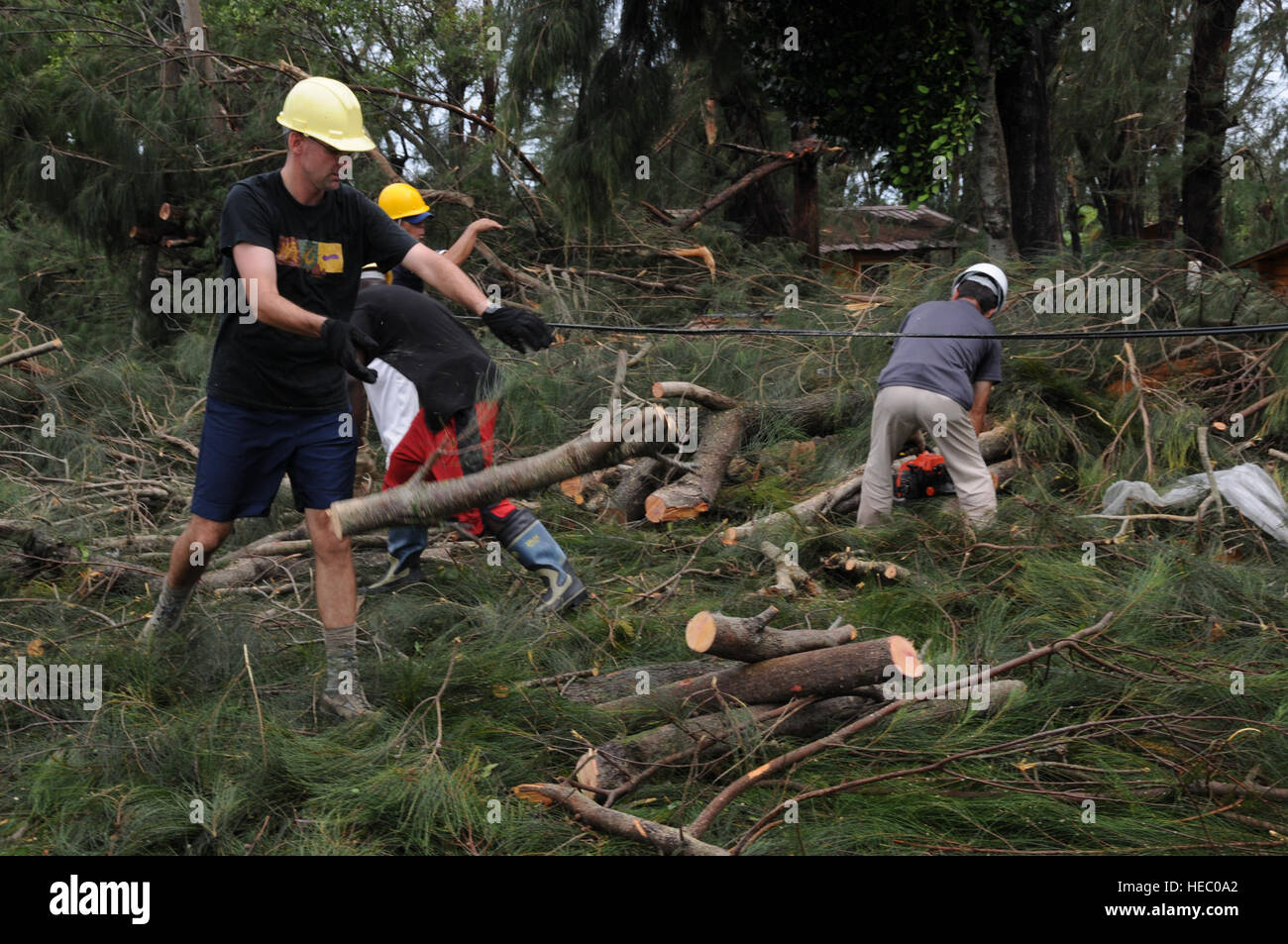 Staff at Okuma Resort clear debris from roads after Typhoon Kompasu ...