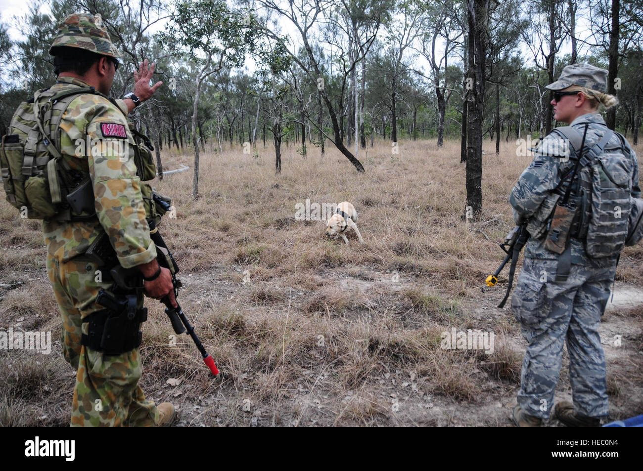 Royal Australian Air Force Leading Aircraftman Jeffrey Gavidi, 2nd ...
