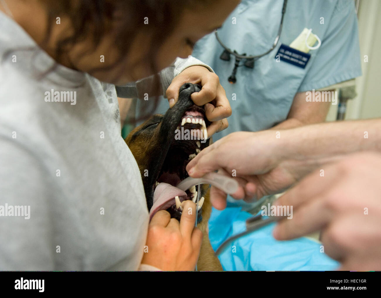 U.S. Air Force Staff Sgt. Patricia Eckles, a military working dog (MWD ...