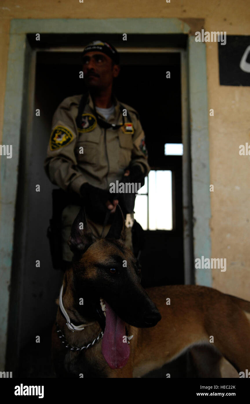An Iraqi dog handler and his canine, Cash, wait for directions to clear ...