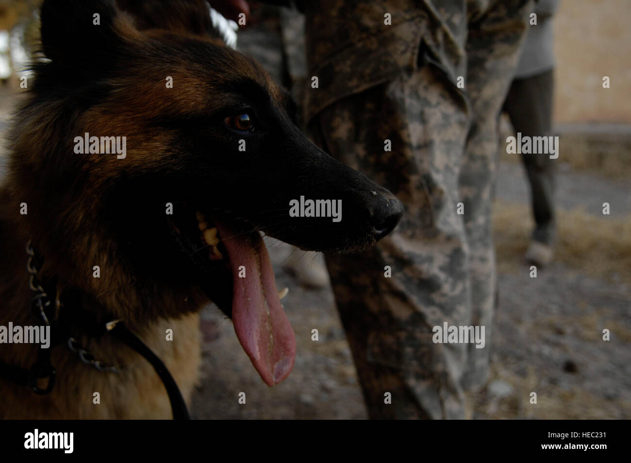 U s military police help iraqi hi-res stock photography and images - Alamy