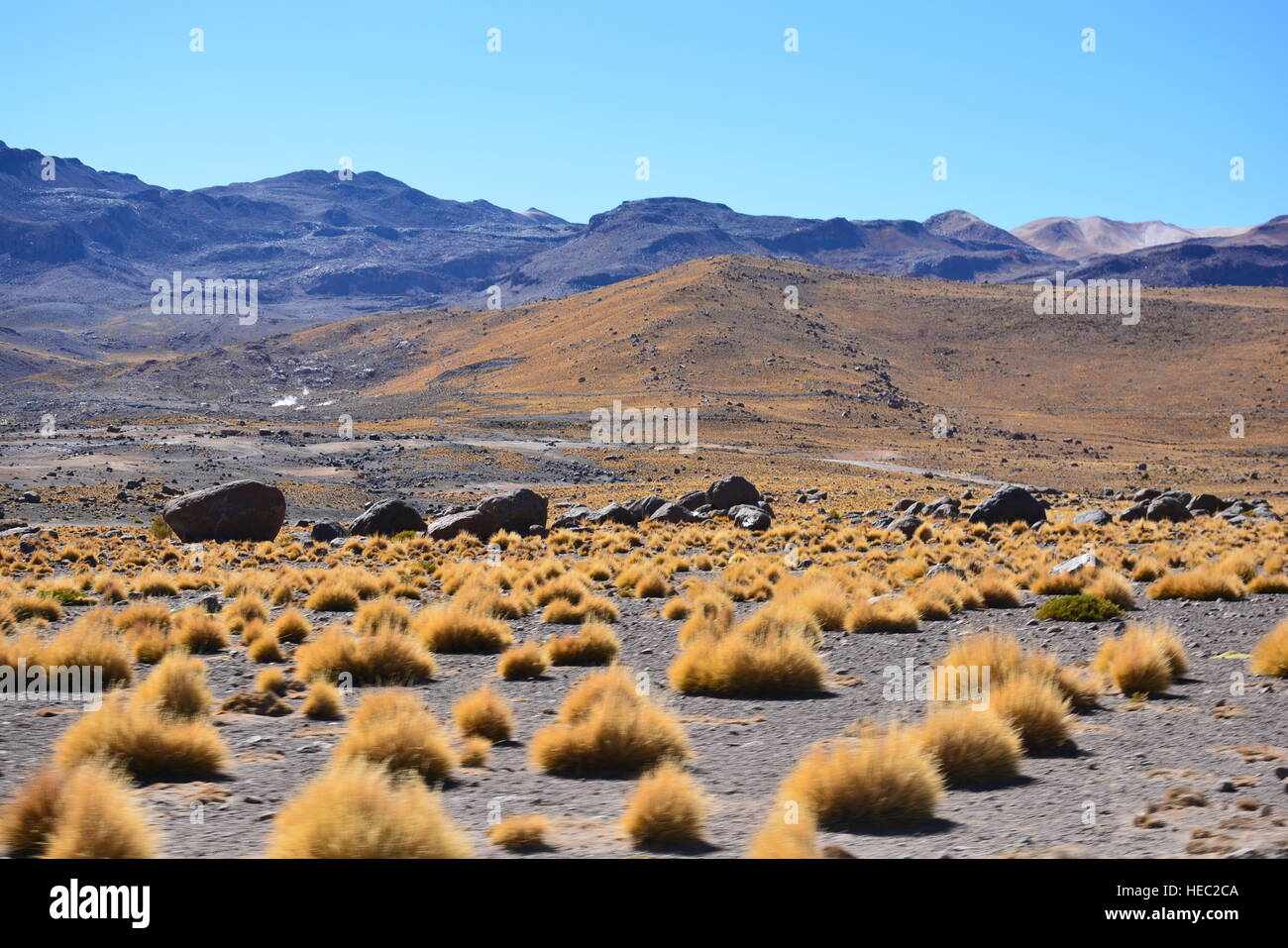 Landscape of mountains and lake in Atacama desert Chile Stock Photo - Alamy