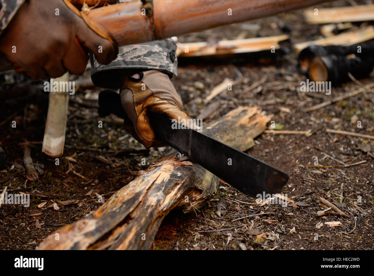 Levi w wood hi-res stock photography and images - Alamy