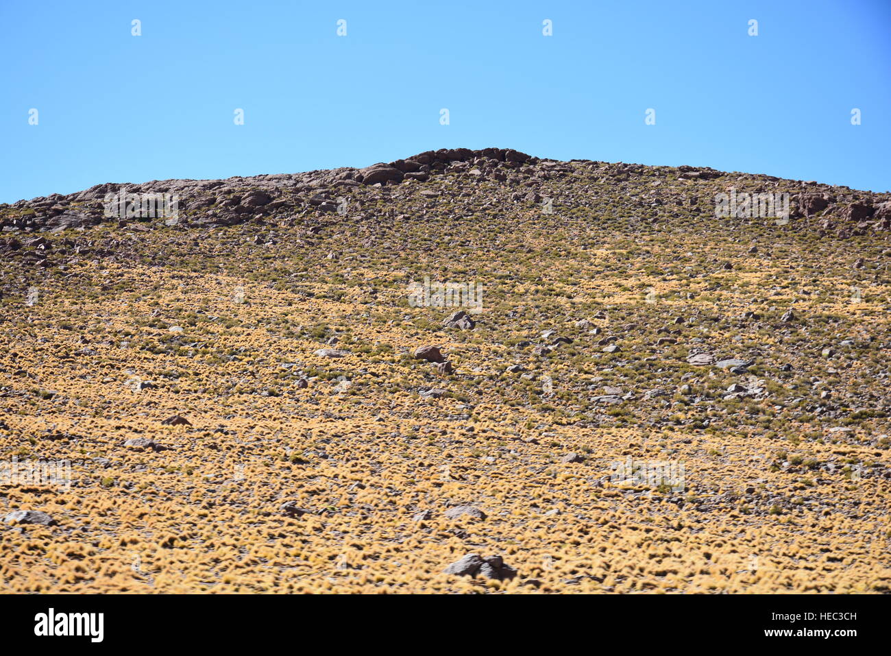 Landscape of mountains and lake in Atacama desert Chile Stock Photo - Alamy