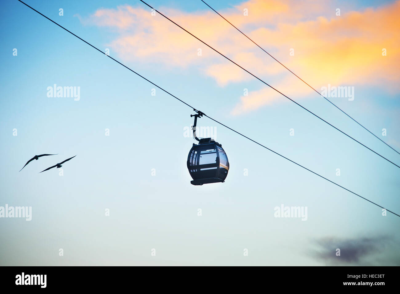 View of cable car and flying birds at sunset Stock Photo - Alamy