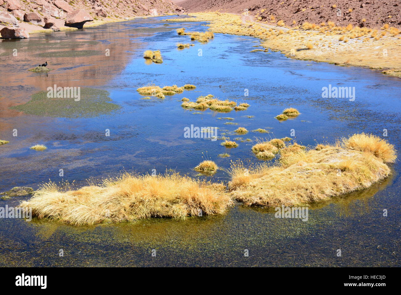 Landscape of mountain and lake in Atacama desert Chile Stock Photo - Alamy